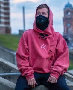 Alan Walker Net Worth, Songs, Wife, Age & Height - tutorayo.net